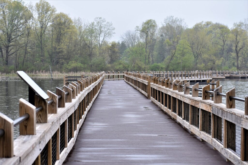 At Pickerel Lake | the post calvin