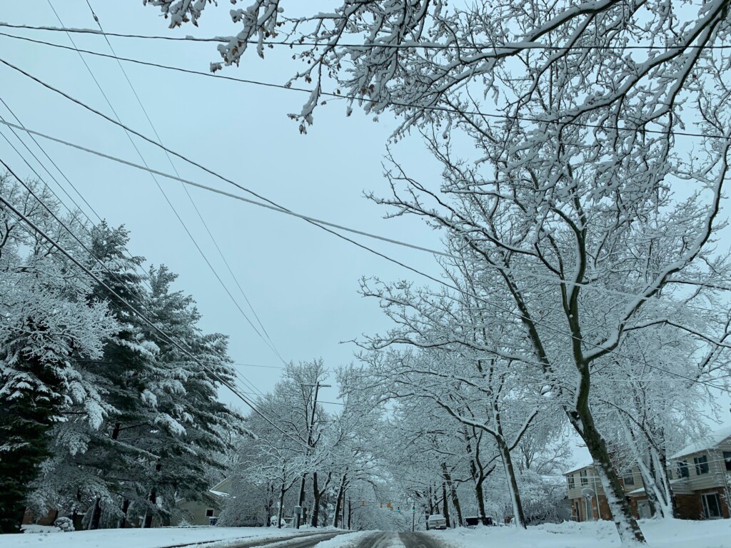 First Snow | the post calvin